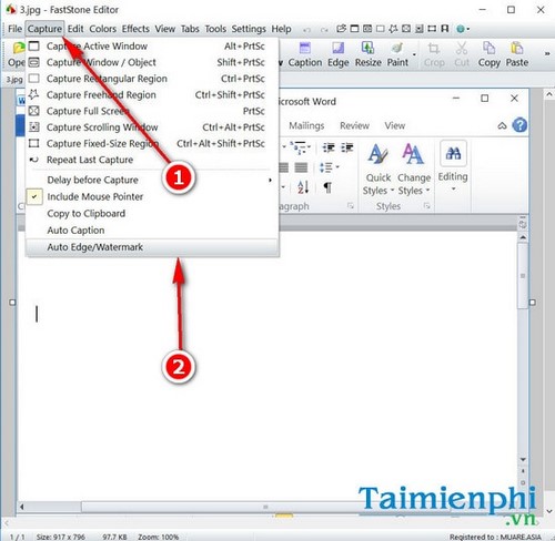 Tự động đính kèm watermark khi chụp ảnh màn hình bằng FastStone Capture