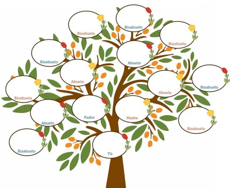 Khám phá vẻ đẹp của những sơ đồ hình cây tuyệt vời nhất