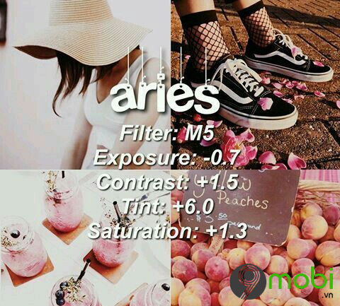 Bí quyết tinh tế của VSCO: tone tây, sáng, cam, lạnh, trầm, nâu, phong cảnh