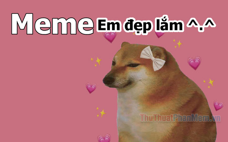 Meme đẹp không tưởng - Bộ sưu tập hài hước về vẻ đẹp đỉnh cao