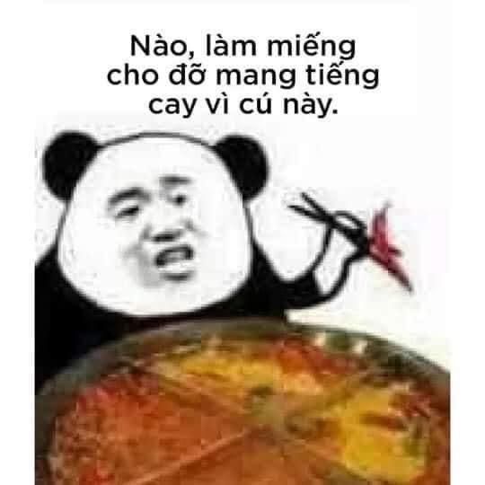 Khám phá thế giới cười với bộ sưu tập meme cay cú độc đáo