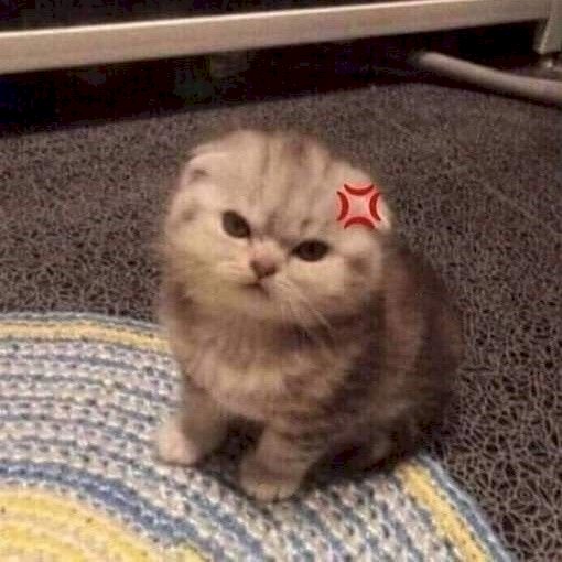 Khám phá thế giới cười với bộ sưu tập meme cay cú độc đáo