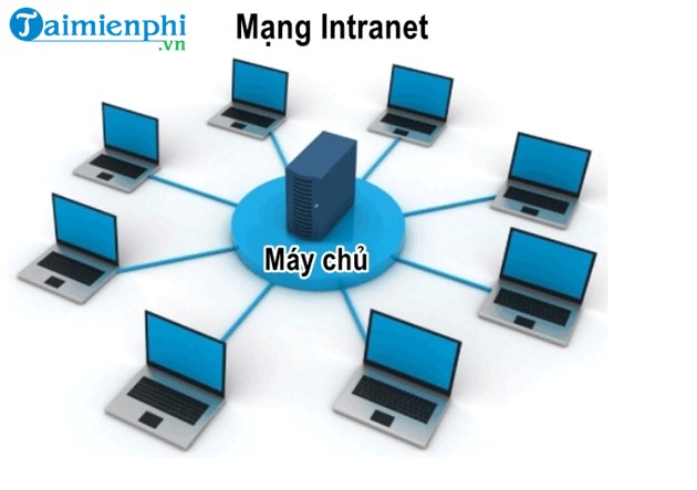 Intranet là khái niệm gì? Đánh giá ưu và nhược điểm, so sánh giữa Intranet và Internet