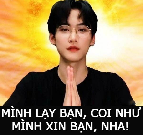 Ảnh meme lạy