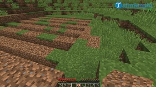 Bí quyết tạo farm trong Minecraft, cải thiện nông trại của bạn