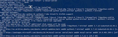 Hướng dẫn Cài đặt Microsoft SQL Server trên Ubuntu