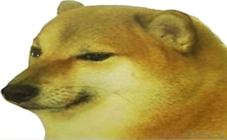 100+ Meme Cheems hài hước cực đã