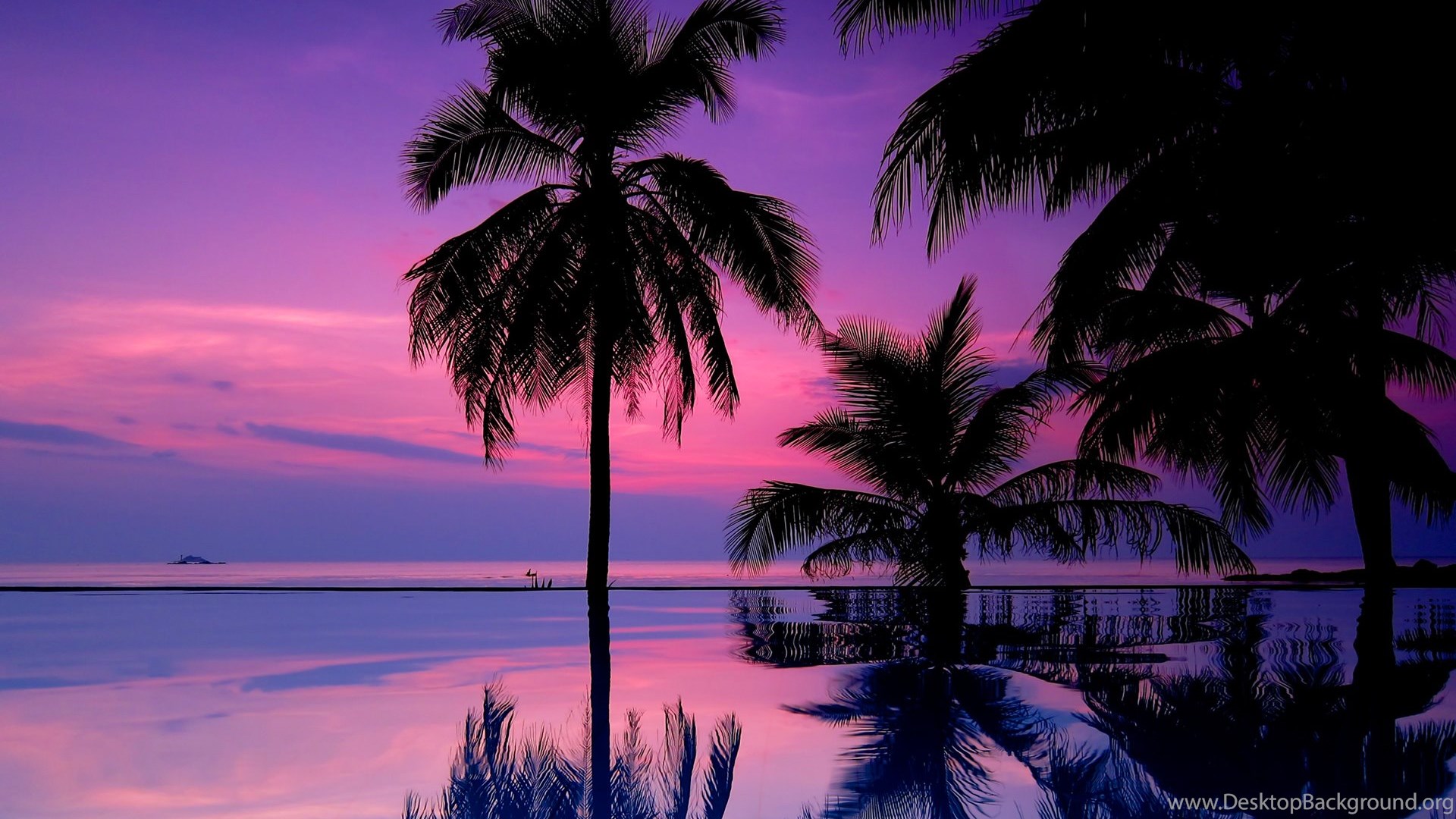 Ảnh hoàng hôn tím độc đáo