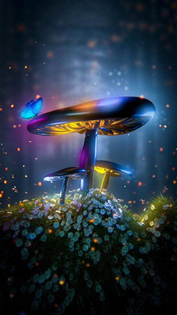 Danh sách hình nền đẹp lung linh