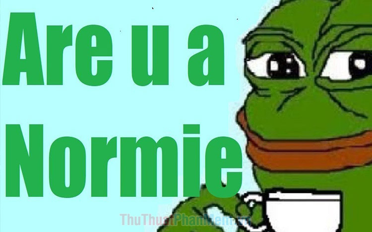 Normie - Đồng Nghĩa Với Điều Gì?