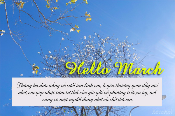 Chào tháng Ba, Những STT và câu châm ngôn thú vị cho tháng mới