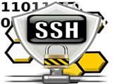 Establishing Connection with SSH Server on Windows, macOS, and Linux