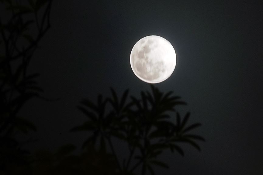 Captivating Moon Images - Compilation of the Most Beautiful Moon Images