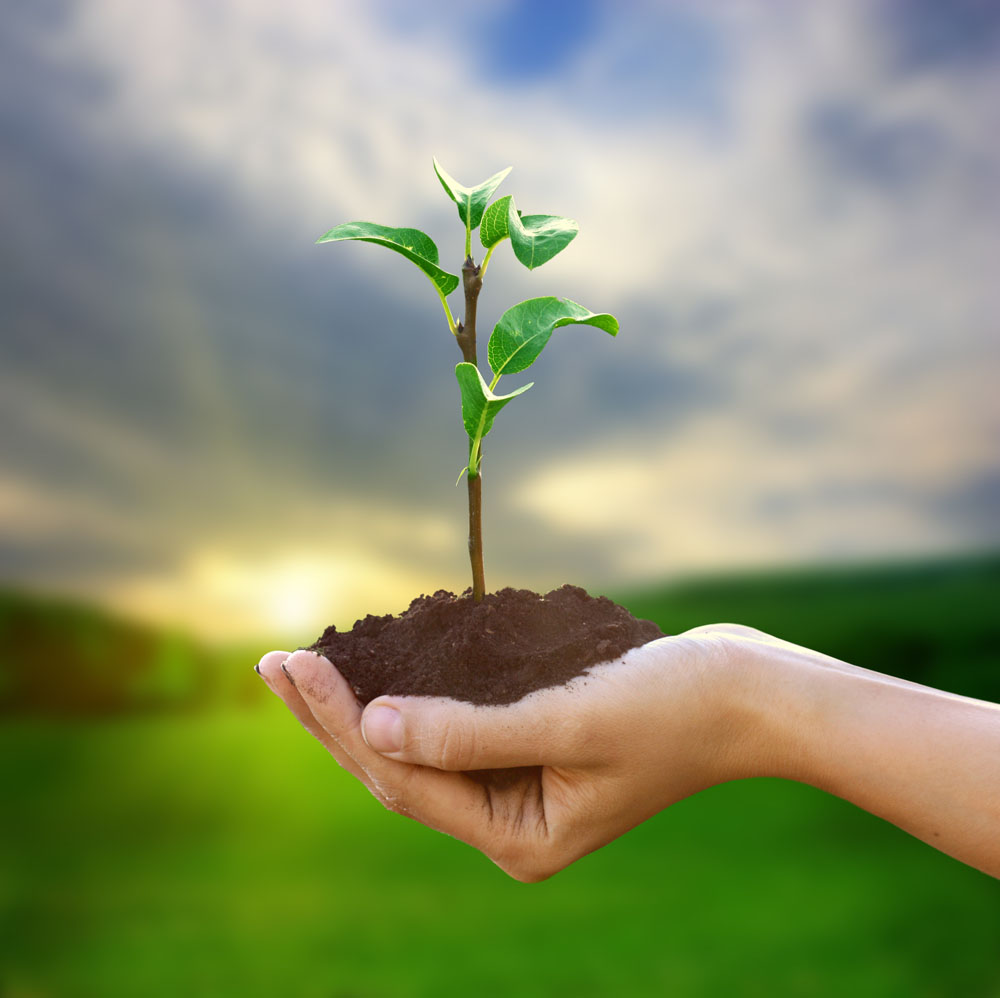 Most Beautiful Images of Hope