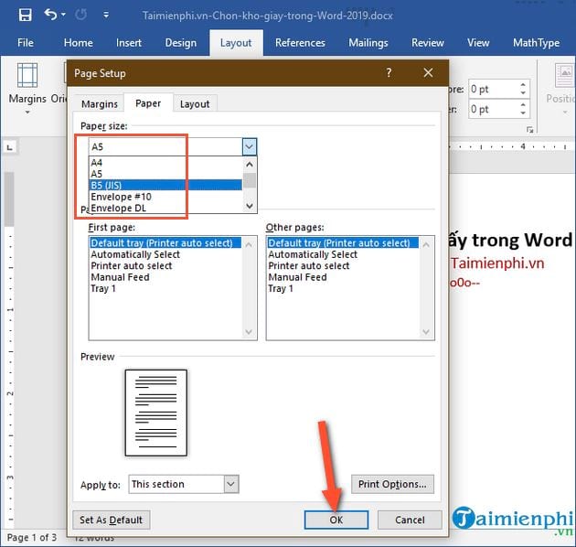 Selecting Paper Size in Word 2019: A4, A0, A1, A2