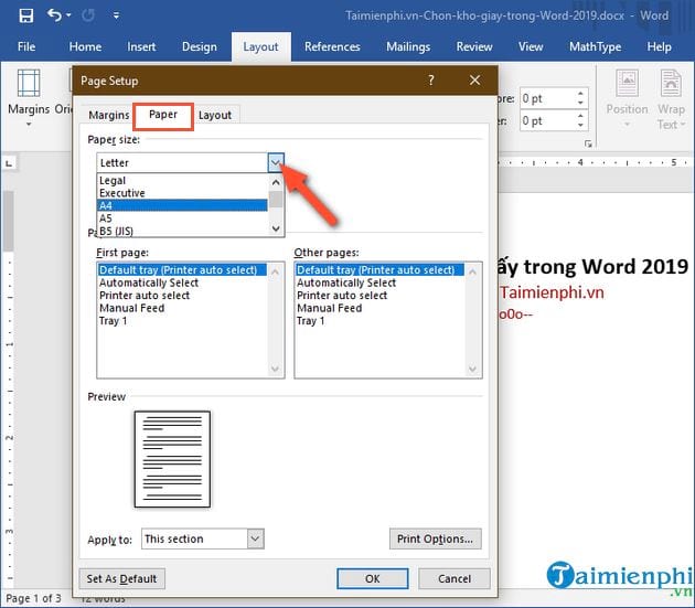 Selecting Paper Size in Word 2019: A4, A0, A1, A2