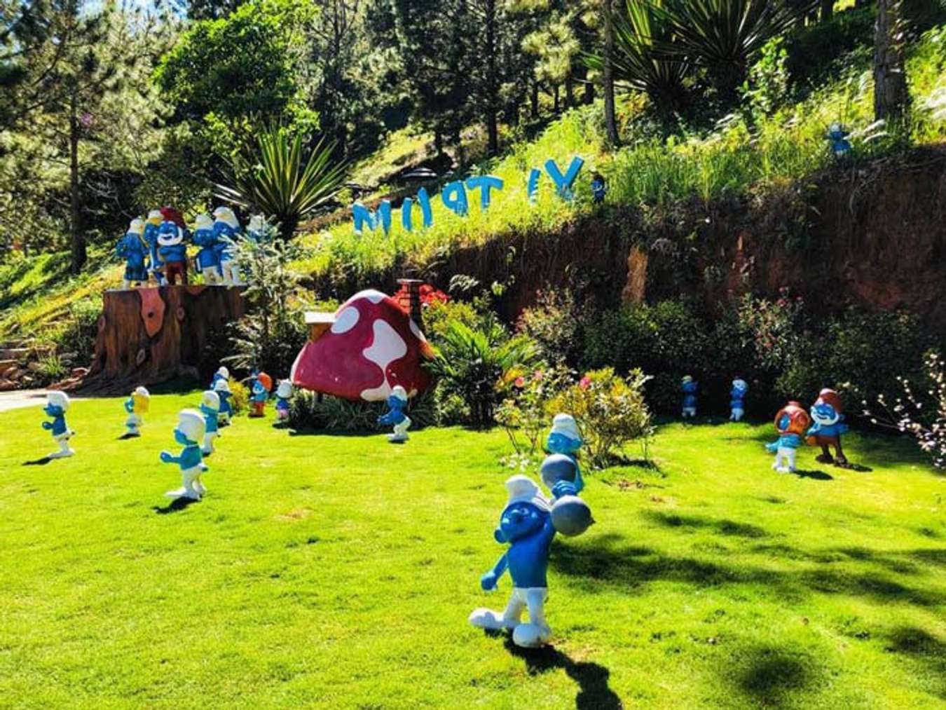 Explore Xì Trum Village in Dalat - the trendiest destination today