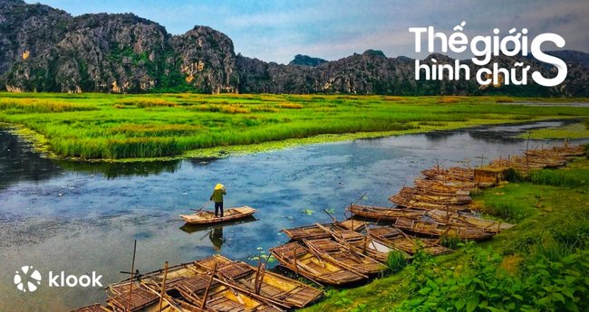 Embark on a Journey to Vân Long Lagoon - Discover Tranquility in Ninh ...