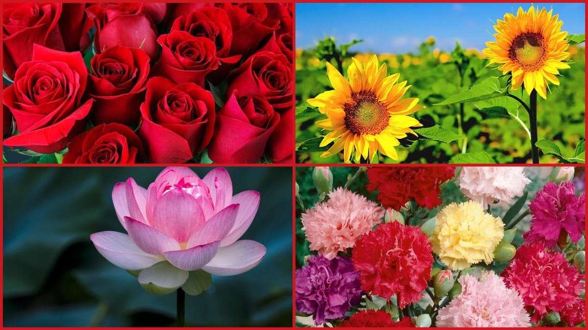 5 Beautiful, Simple, and Meaningful Ways to Arrange Flowers for ...