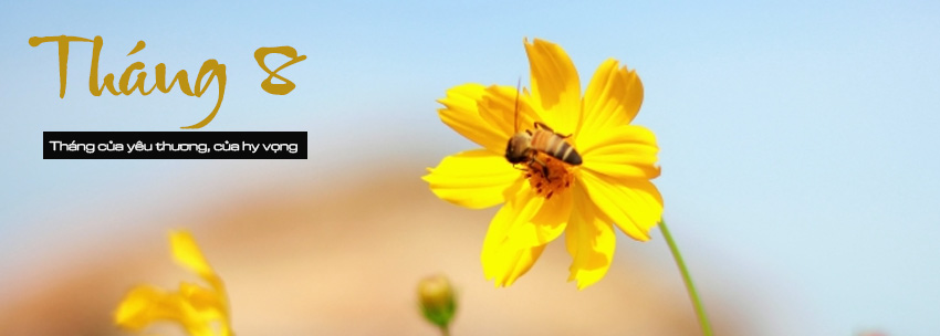 Captivating Facebook Cover Photos for the Mesmerizing August