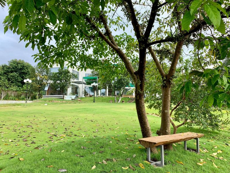 Explore the Finest Homestays in Hòa Lạc, Hanoi - Mytour.vn