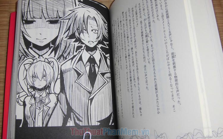 What is a Light Novel?