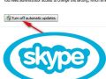 Disable the automatic update feature for the latest Skype version