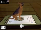 4D Animal Images, Image Collection for Animal 4D+ App for Phones