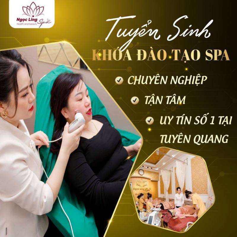Explore the Best Spa Training Centers in Tuyên Quang with Mytour.vn