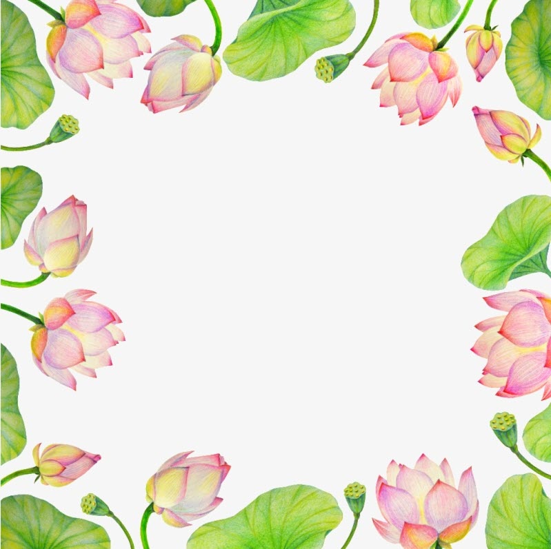 Elegant Lotus Flower Backdrops