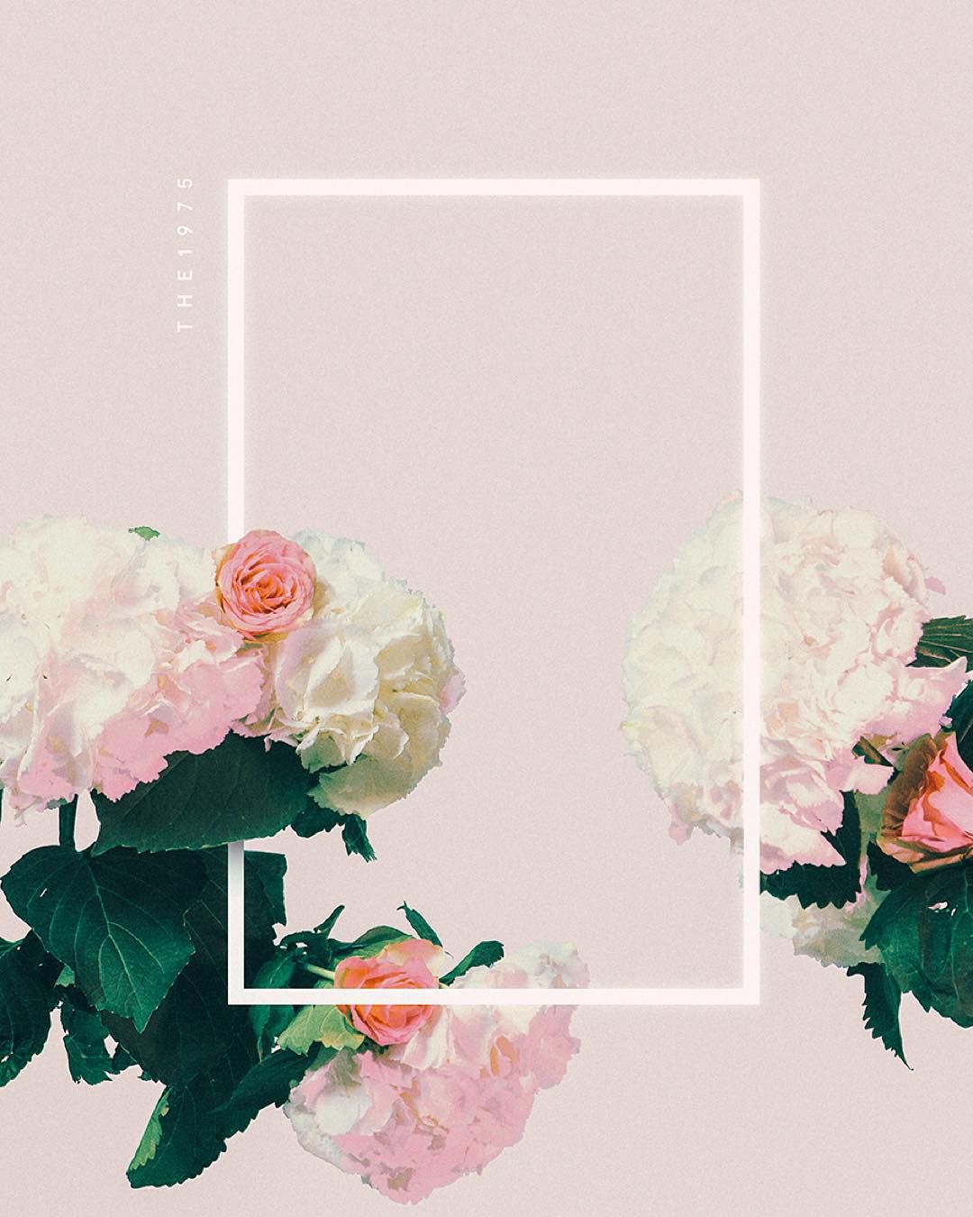 Beautiful Invitation Backgrounds