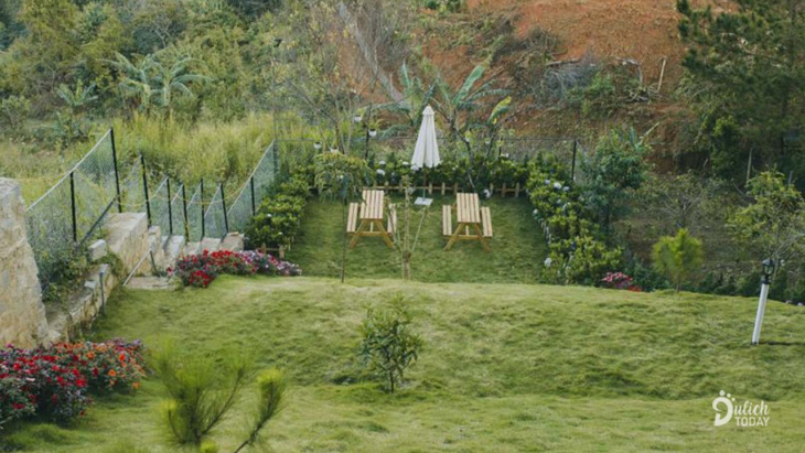 Unique design homestays in Dalat - Mytour