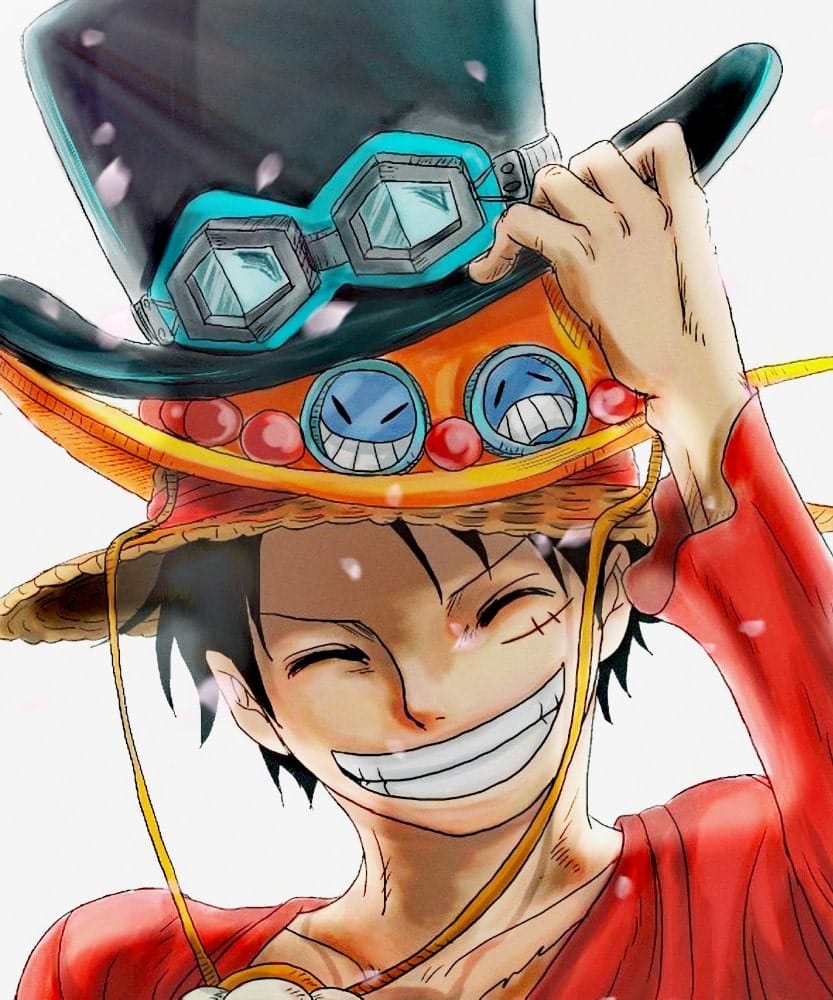 Beautiful, adorable, and charming images of Luffy's laughter