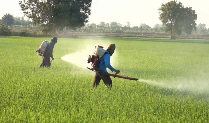 Explore the Top 10 Most Popular Pesticide Sprayers Today - Mytour.vn