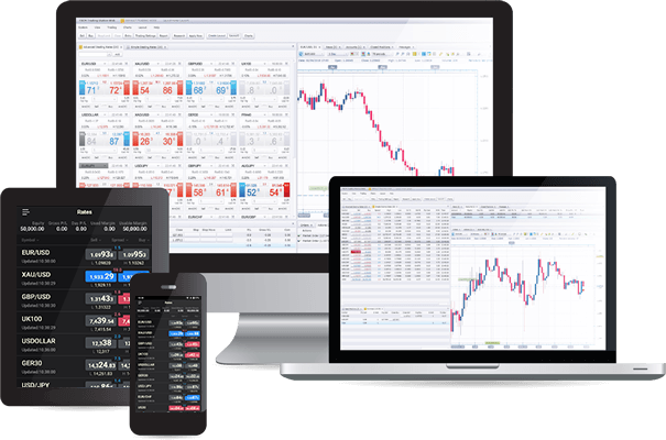 Exploring Metatrader Software