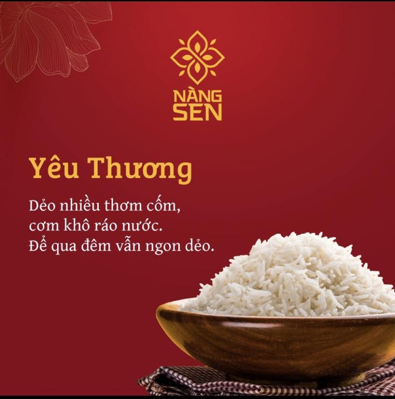 Discover the Top 8 Most Popular Rice Varieties in Vietnam - Mytour.vn