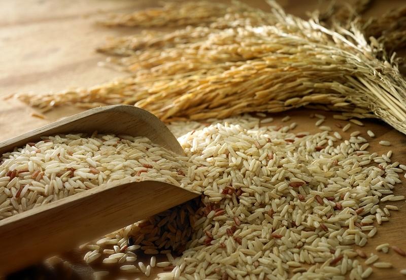 Discover the Top 8 Most Popular Rice Varieties in Vietnam - Mytour.vn