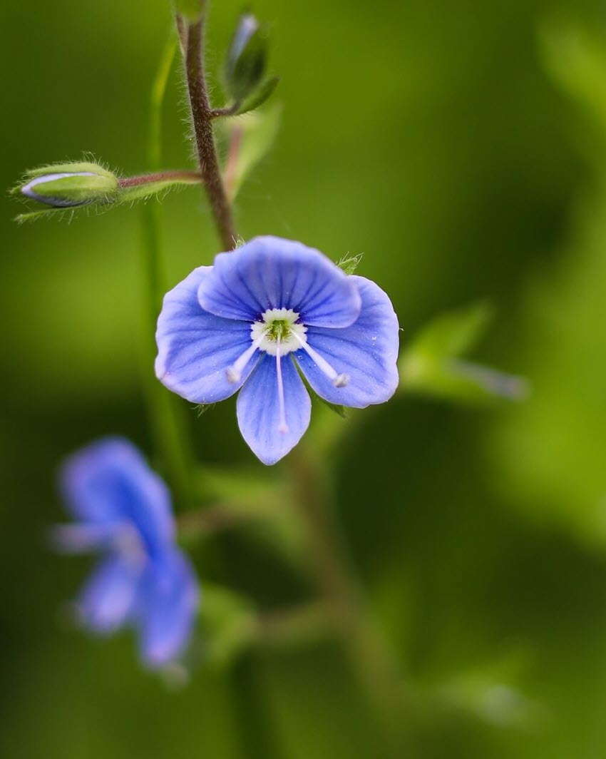 The Ultimate Collection of Stunning Word Backgrounds