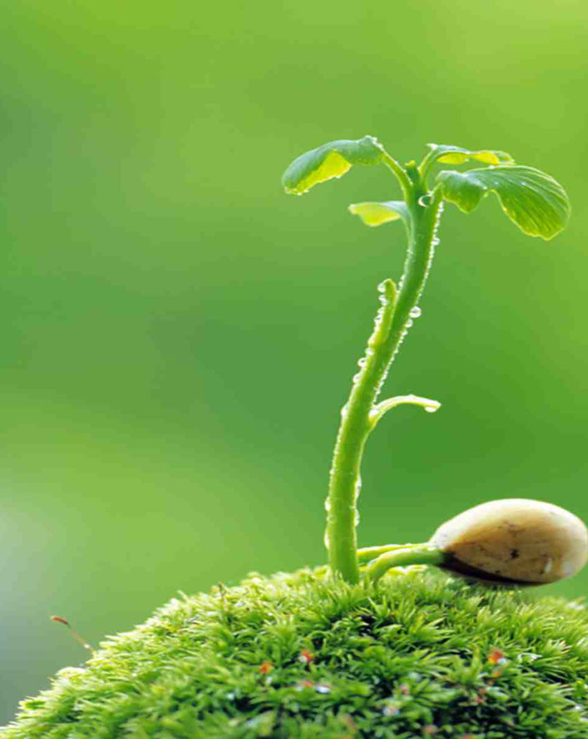 The Ultimate Collection of Stunning Word Backgrounds