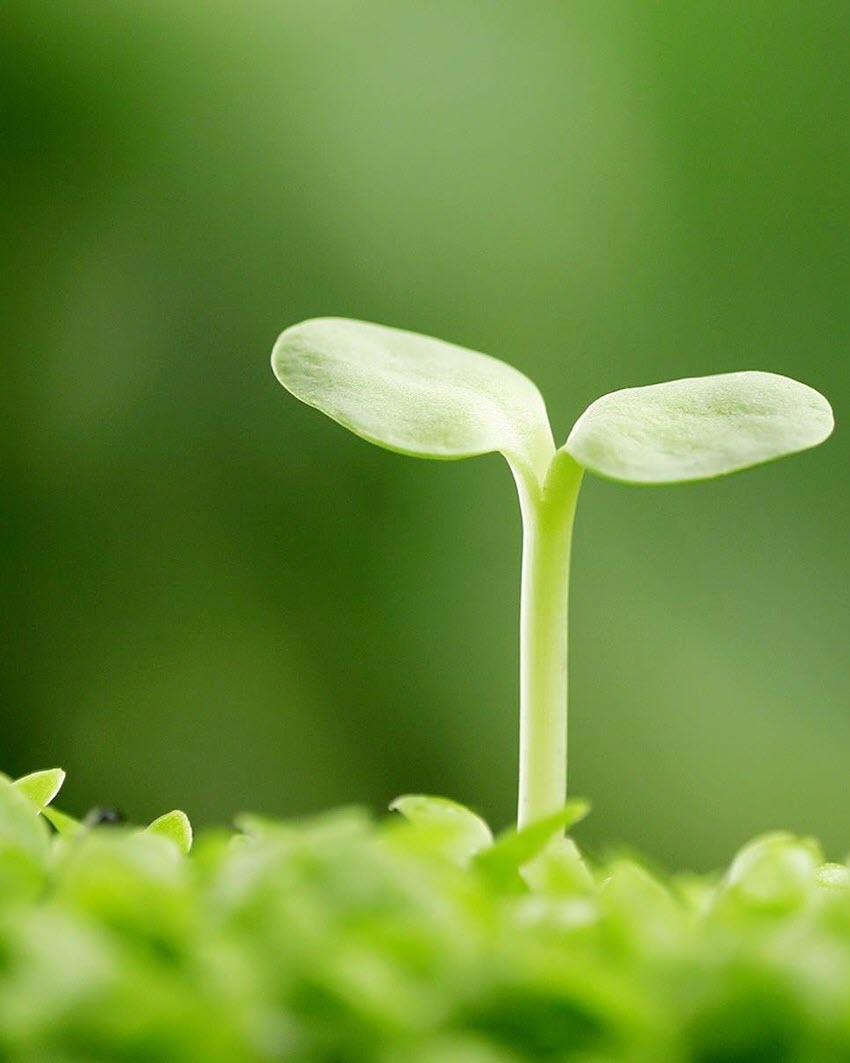 The Ultimate Collection of Stunning Word Backgrounds