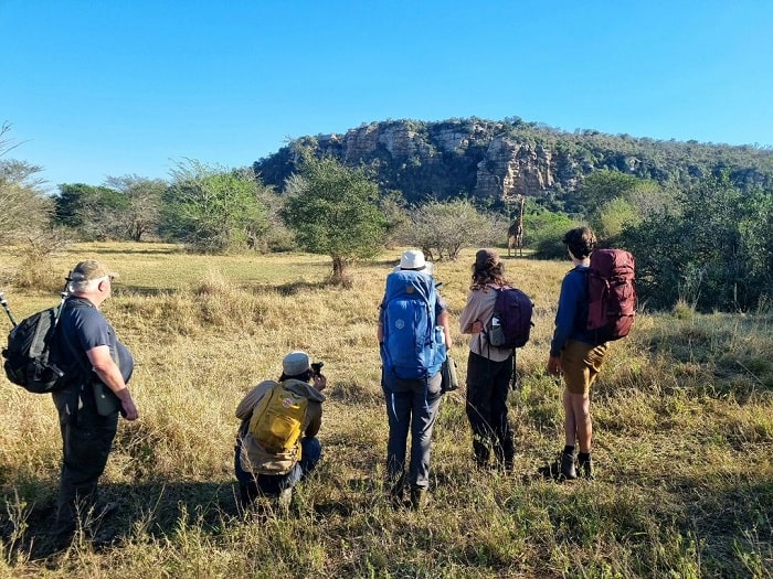 Explore the Wilderness: Hluhluwe-Imfolozi Park in South Africa ...