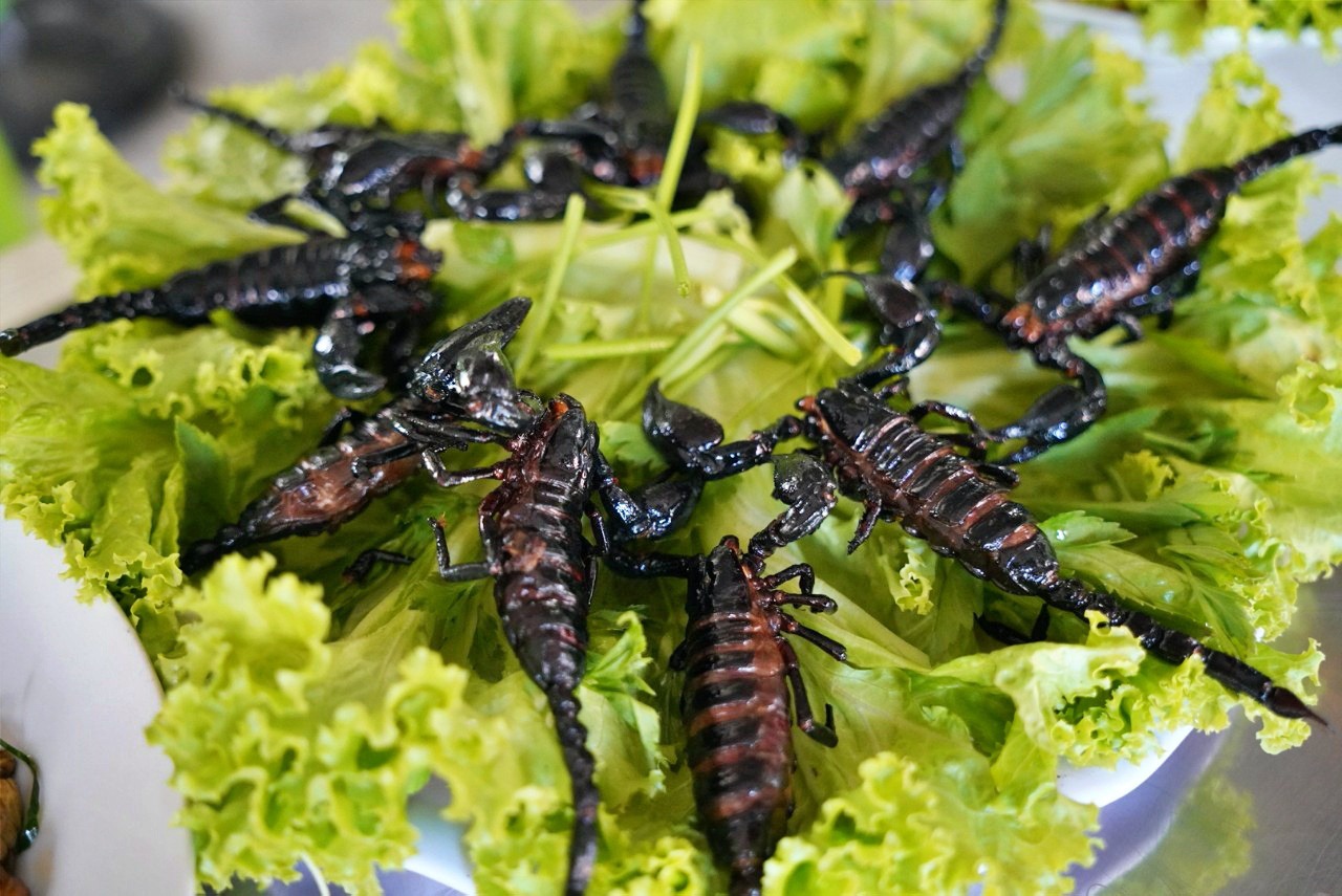 'Unique - Exotic - Delicious' with Insect Cuisine from An Giang - Mytour