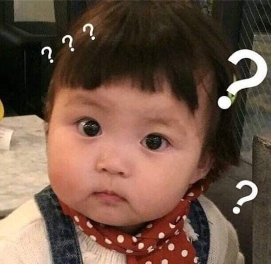 Compilation of Enigmatic and Amusing Memes