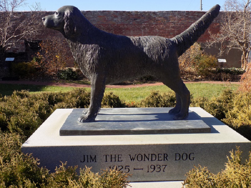 Year of the Dog exploring Jim's Dog Museum - Mytour