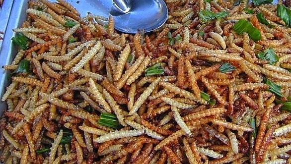 Famous Insect Delicacies - Travel Guide - Explore with Mytour
