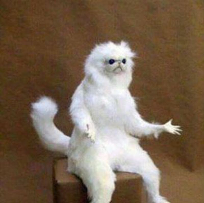 Compilation of Enigmatic and Amusing Memes