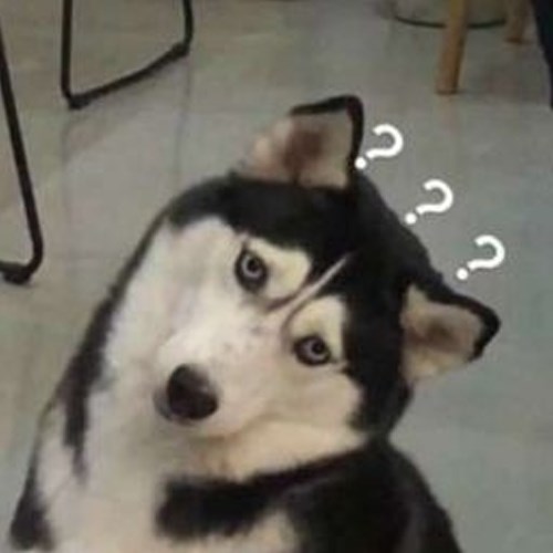 Compilation of Enigmatic and Amusing Memes