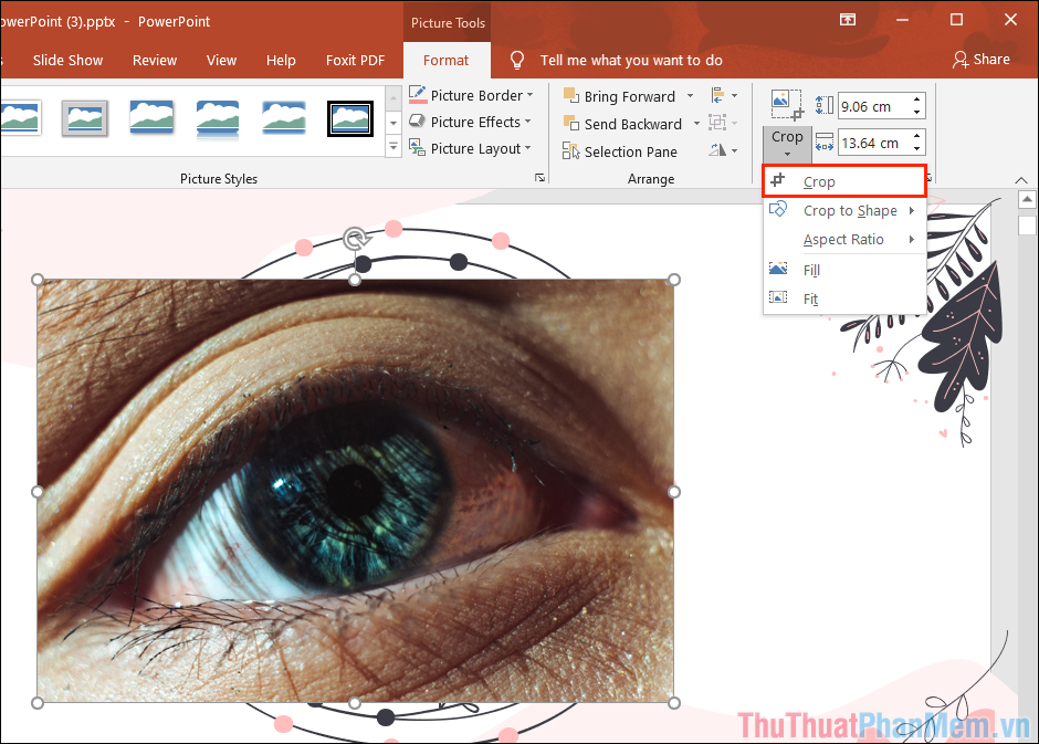 PowerPoint Image Cropping Techniques