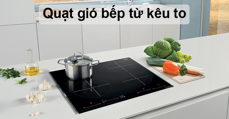 Causes and Solutions for the Issue of Noisy Kitchen Induction Fan