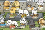 Cat Delicacies for Abundant Hearts in Adorable Home